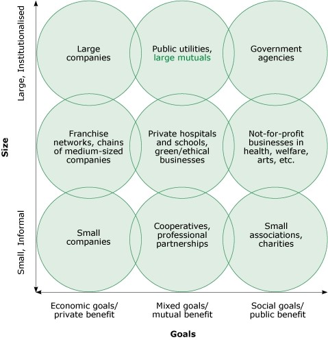 Organization - CIO Wiki